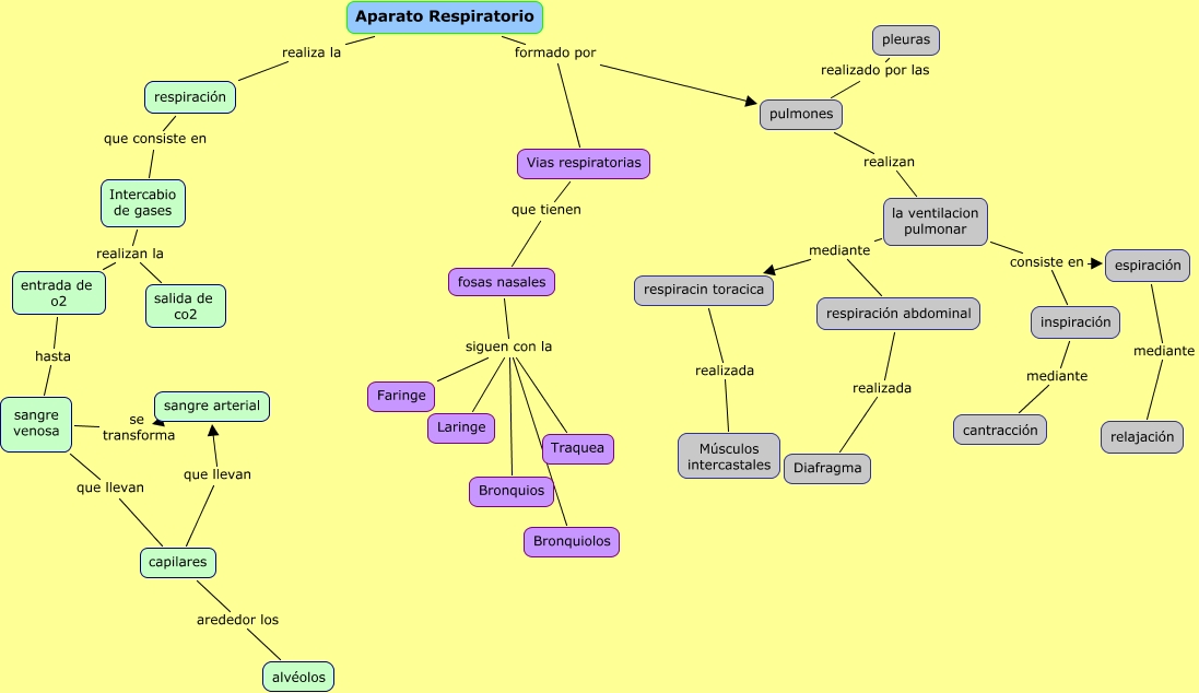 Cmap respiratorio Estefanía Trillo